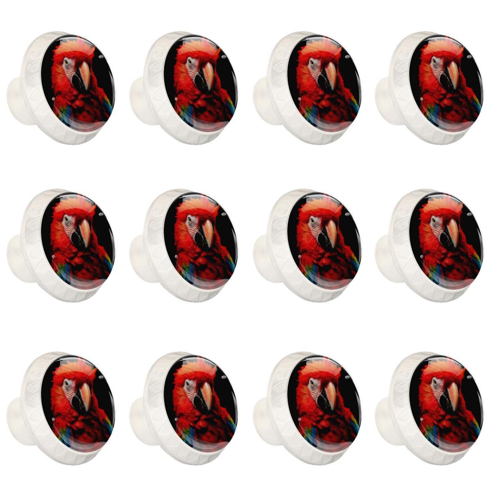 Colorful Parrot 12 Pcs White Round Drawer Pulls with Screws,ABS and ...