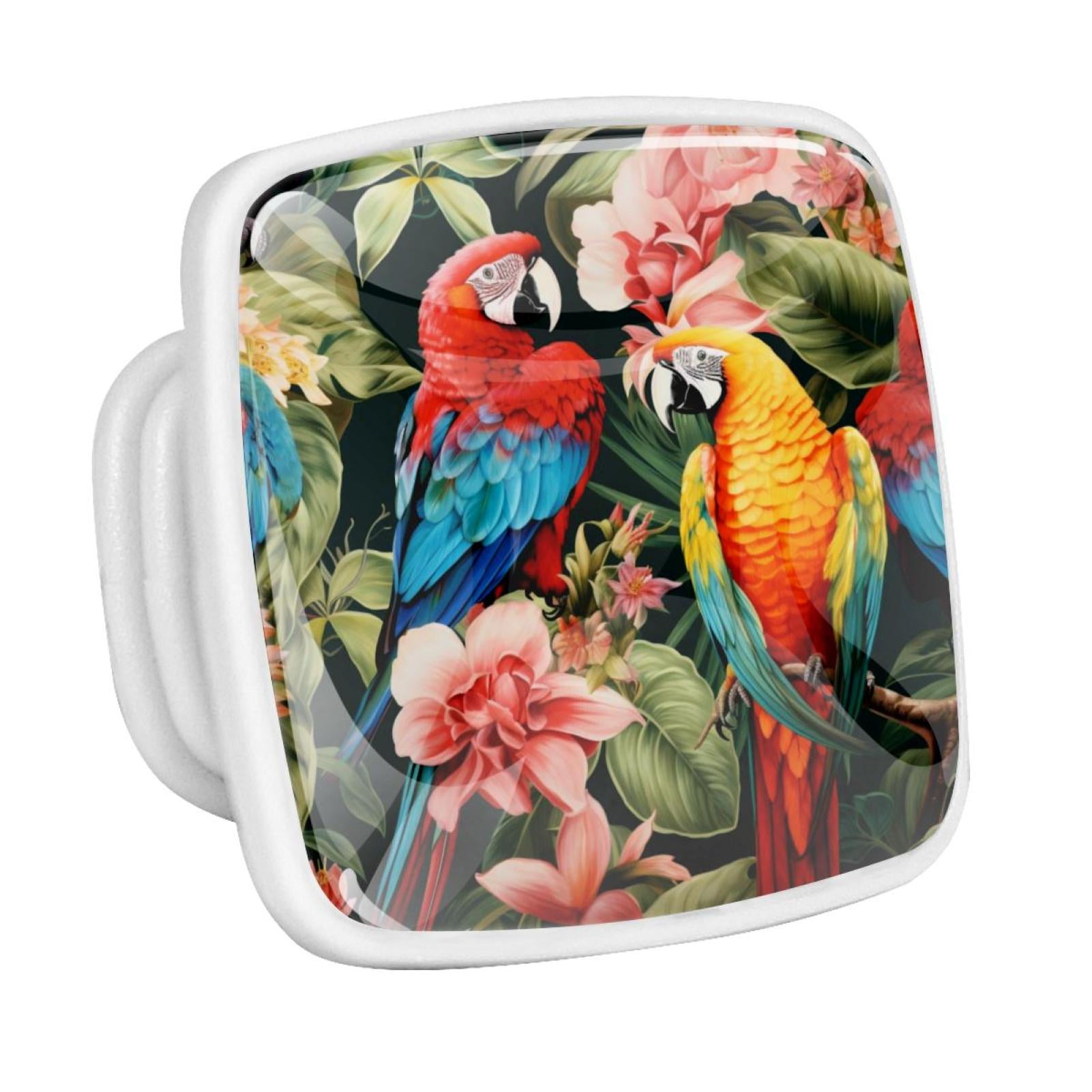 Colorful Parrot Fluorescent Drawer Pulls with Screws Square 4-Pack Glow ...