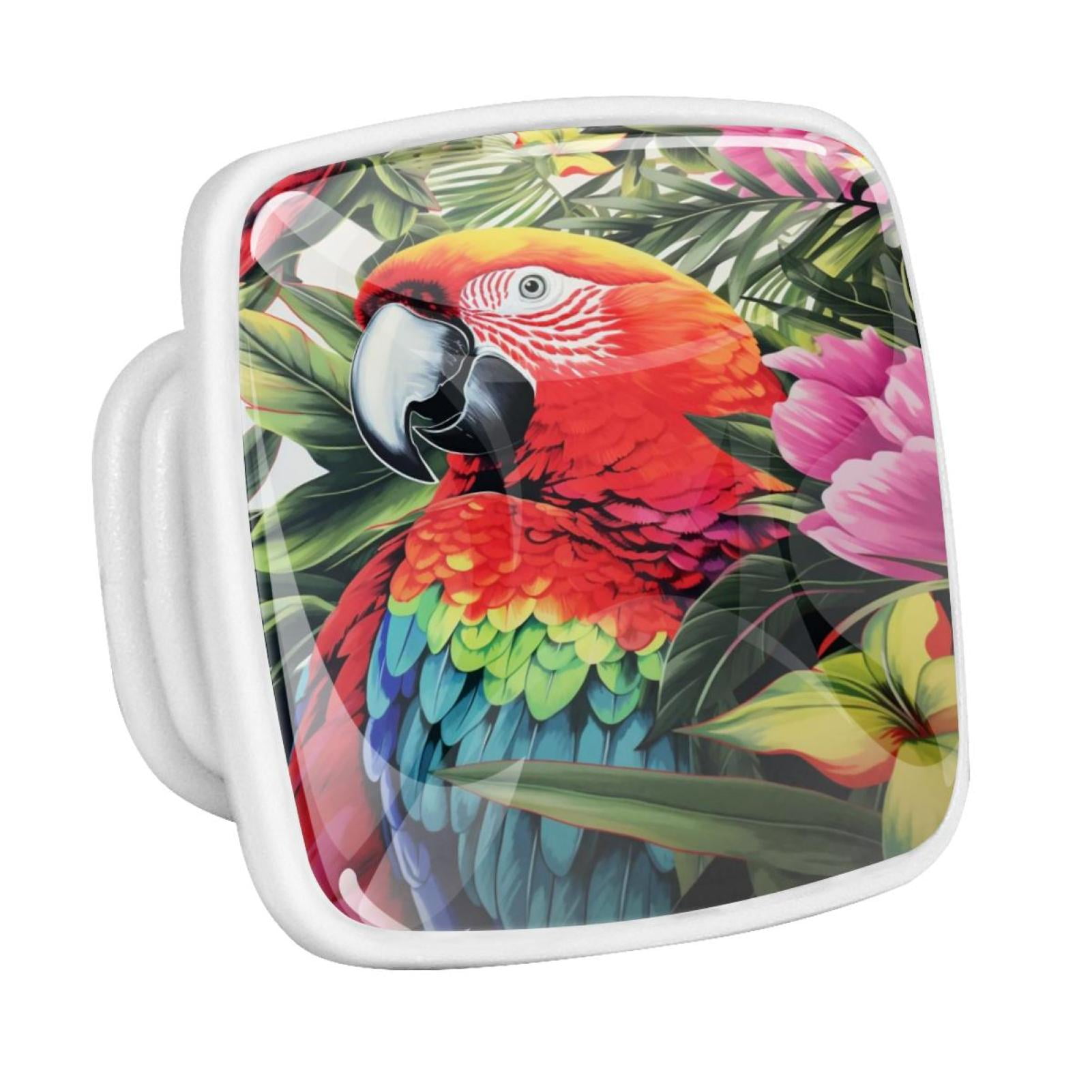 Colorful Parrot Fluorescent Drawer Pulls with Screws Square 4-Pack Glow ...