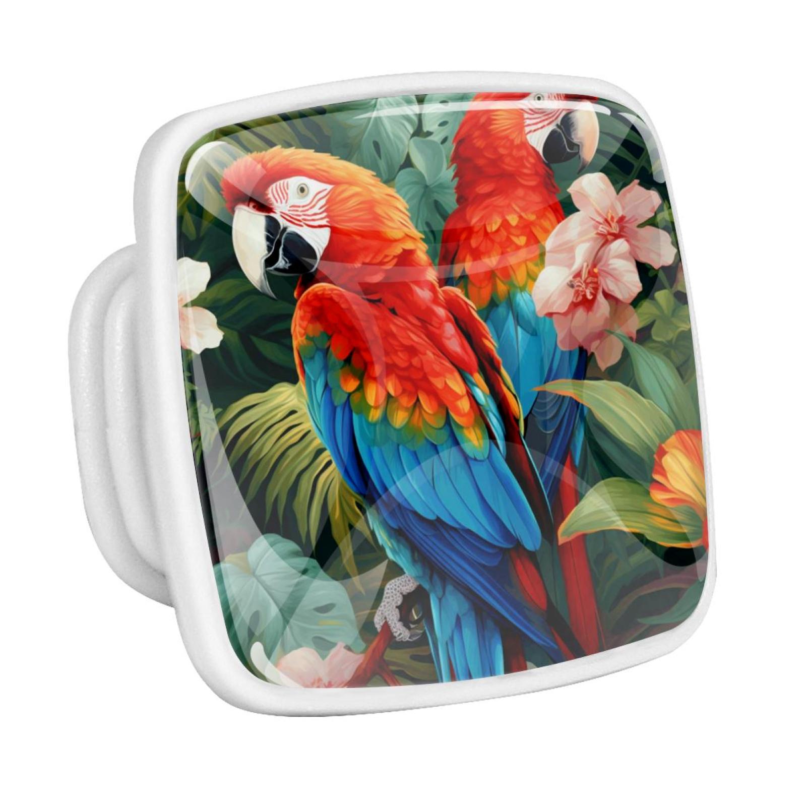 Colorful Parrot Fluorescent Drawer Pulls with Screws Square 4-Pack Glow ...