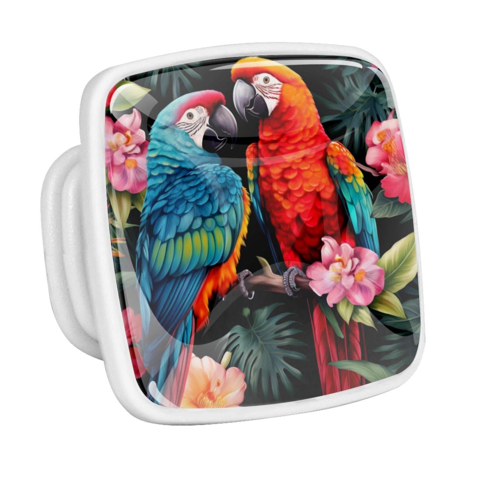 Colorful Parrot Fluorescent Drawer Pulls with Screws Square 4-Pack Glow ...