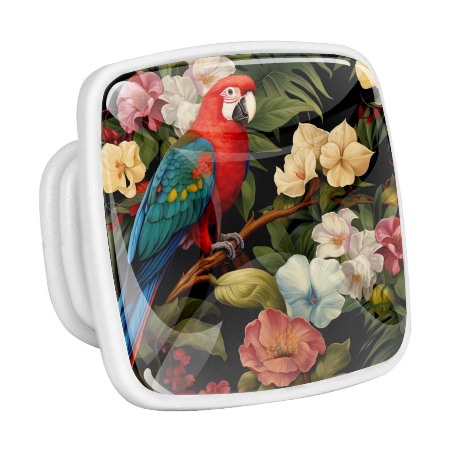 Colorful Parrot Fluorescent Drawer Pulls with Screws Square 4-Pack Glow ...