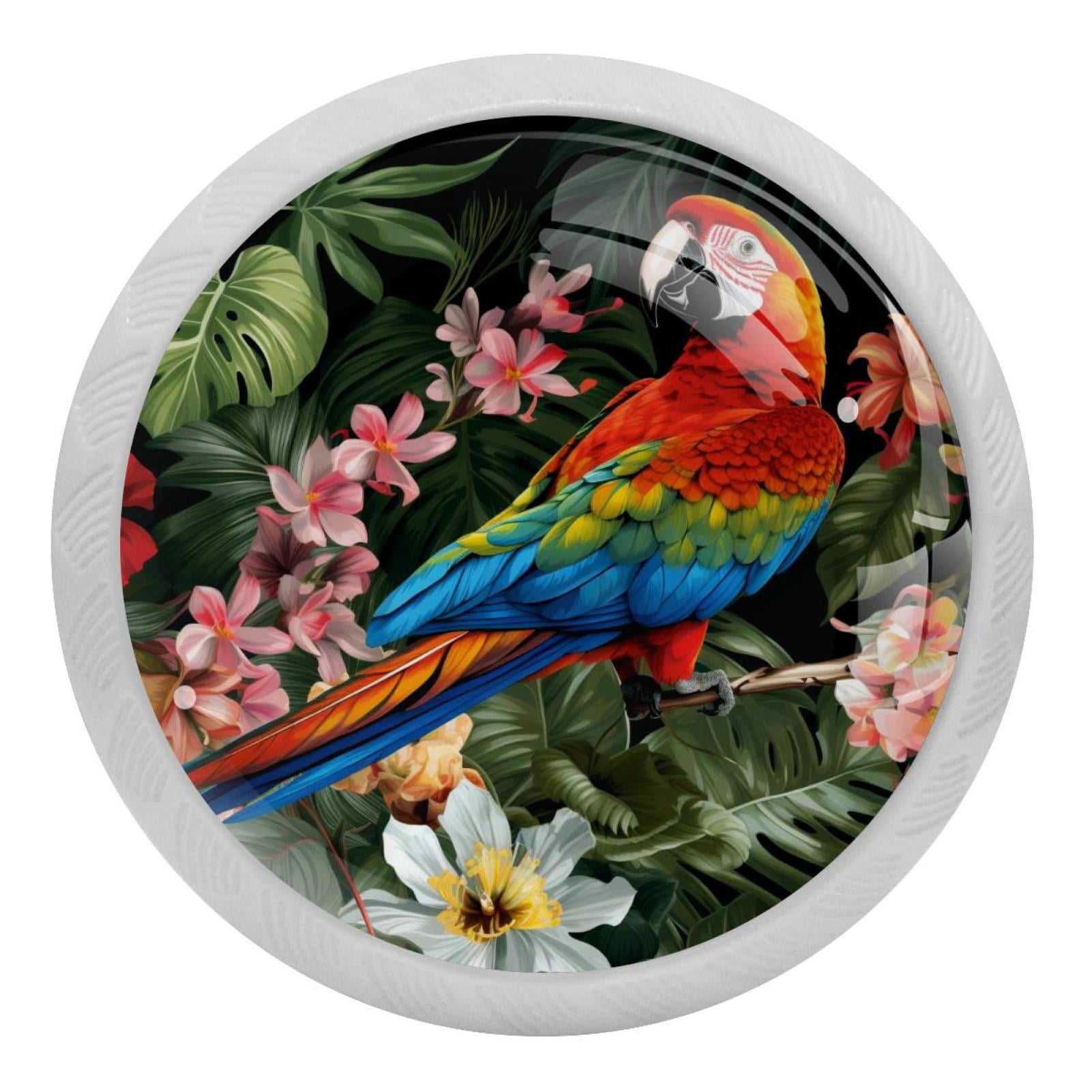 Colorful Parrot Pattern 4PCS Cabinet Knobs Pulls Fluorescent Drawer ...