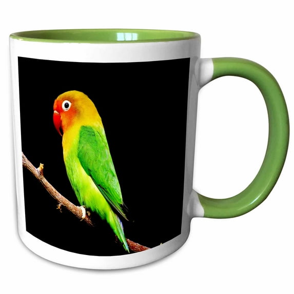 3drose, Colorful Parrot Sitting on Branch of a Tree on Black Background ...