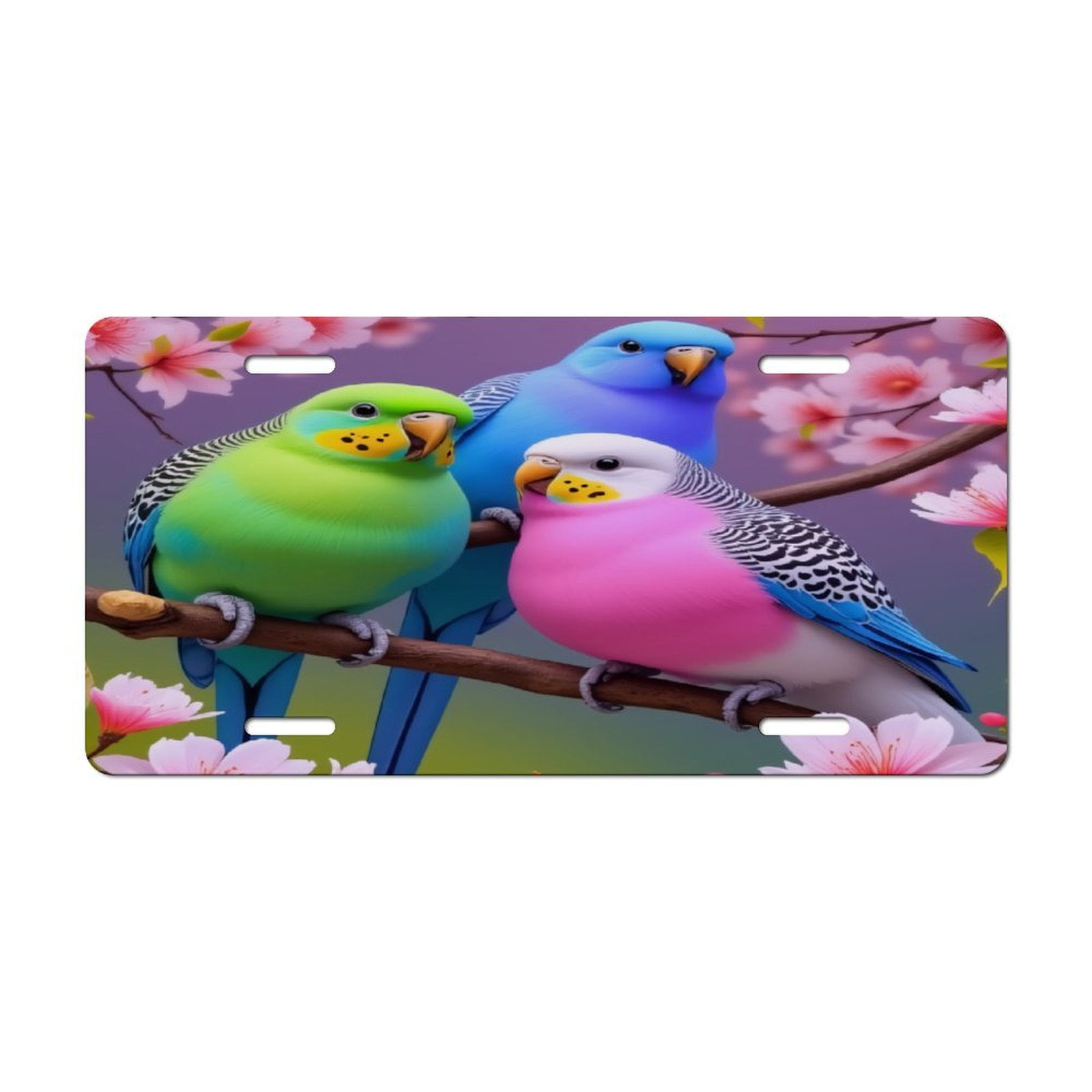Colorful Parrots on Cherry Blossom Branch Car Decorative Front License ...