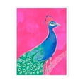 Colorful Peacock Art Print - Painting Bird Wildlife Illustration Modern ...