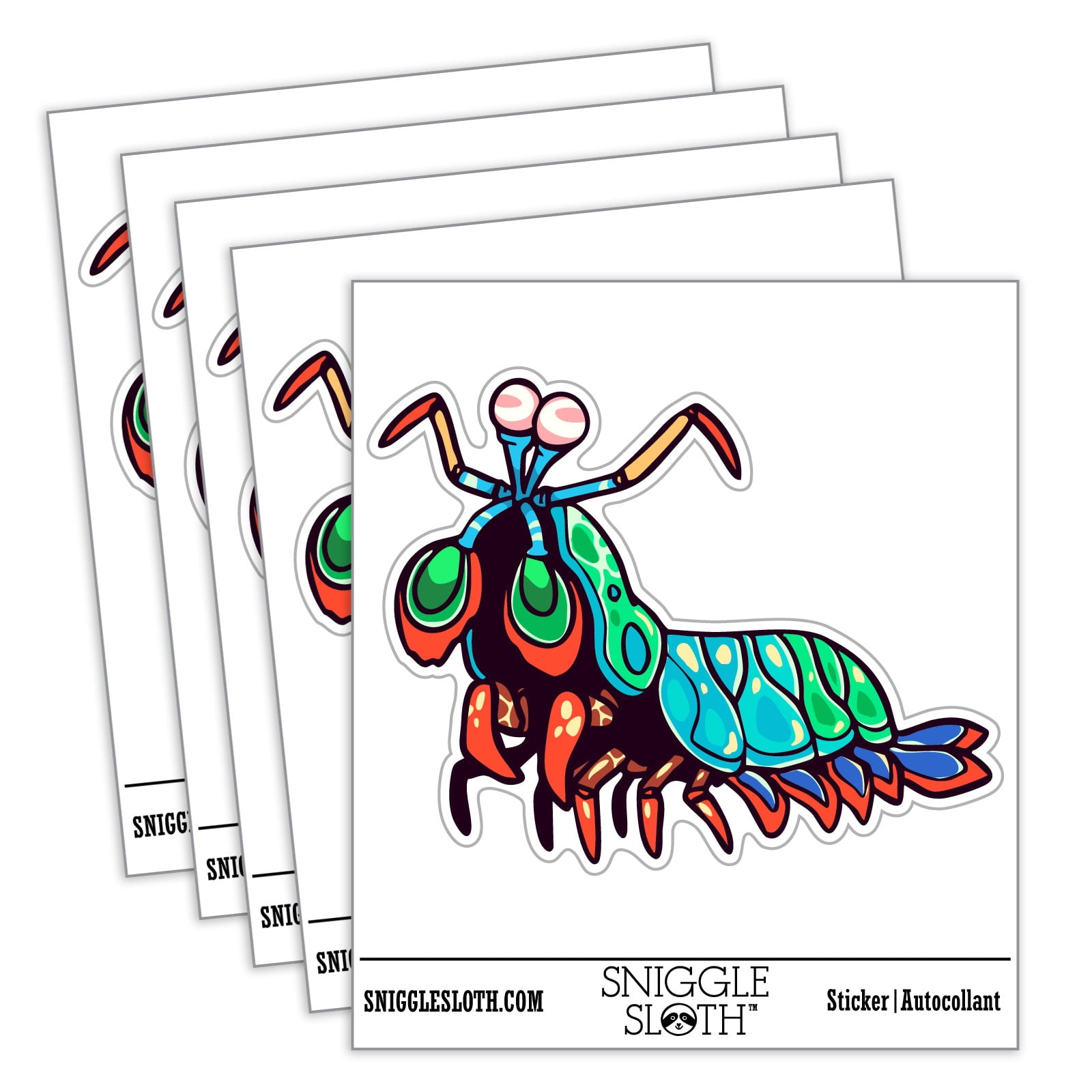 Colorful Peacock Mantis Shrimp Rainbow Car Window Bumper Water Bottle ...
