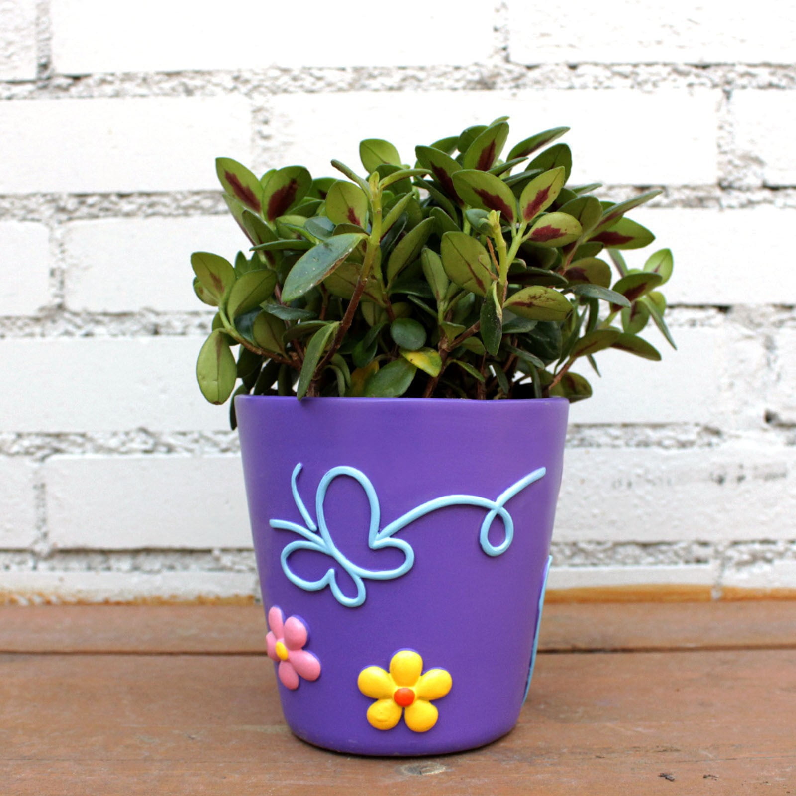 Colorful Planter Cute Unique Rainbow Face Plant Pot, Abstract Flower ...