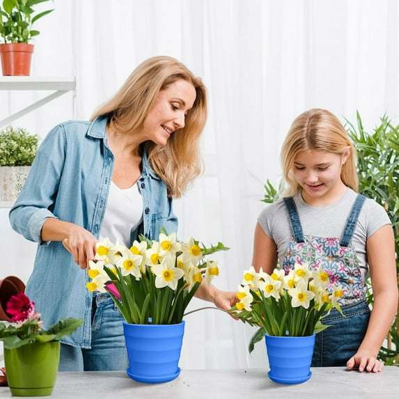 Colorful Plastic Flower Pot Succulent Planter, Home and Office Garden ...