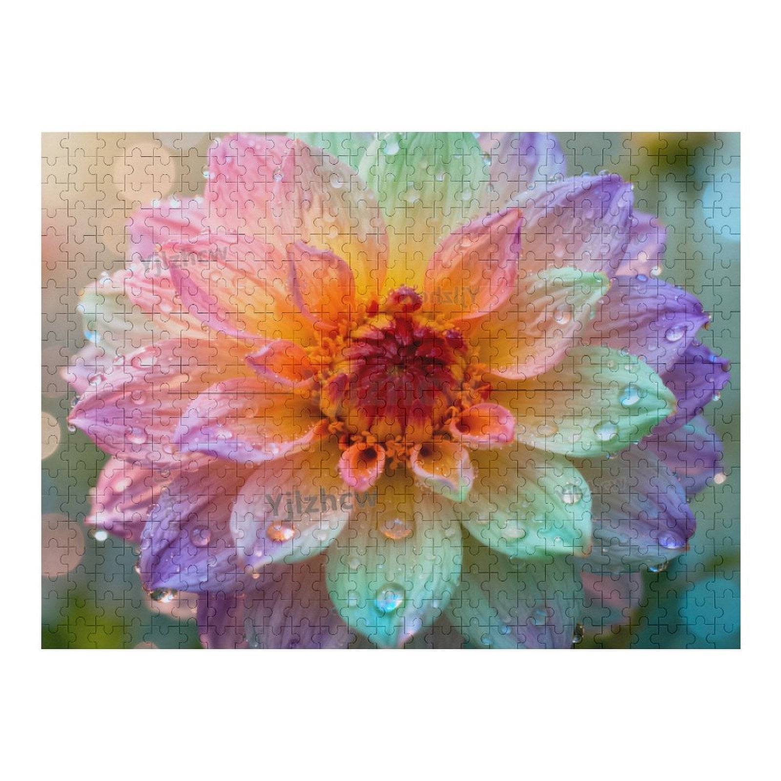 Colorful Rainbow Dahlia Flower with Water Drops Wooden Jigsaw Puzzle ...