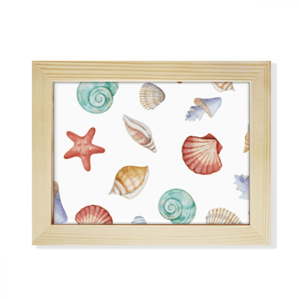 Colorful Scallop Marine Life Illustration Desktop Photo Frame Picture ...