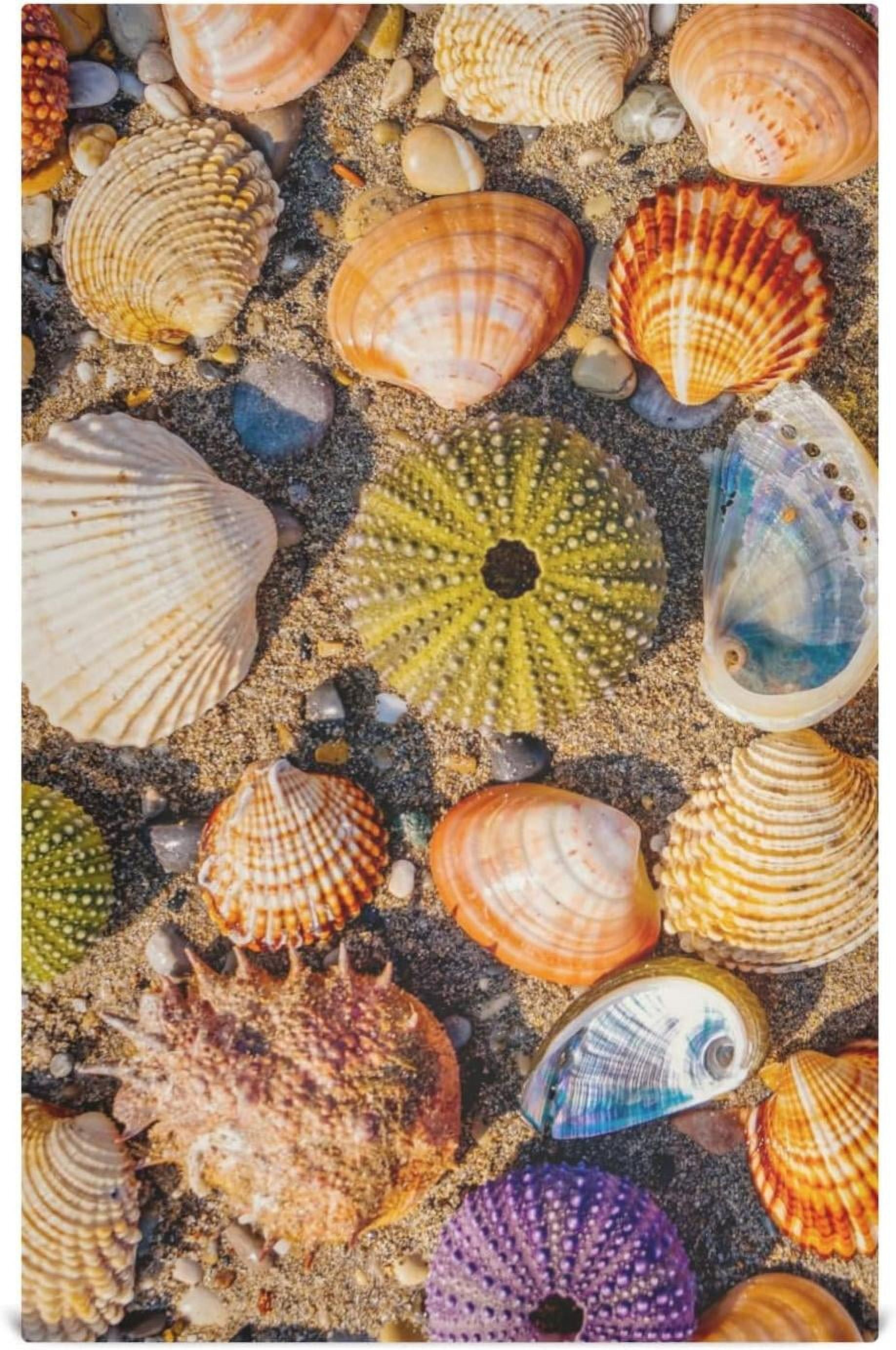 Colorful Sea Urchins Tea Towels Set of 1 Beach Sea Shells Kitchen Dish ...