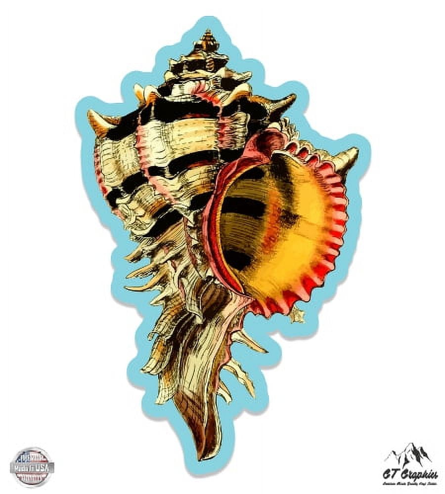 Colorful Seashell - 5" Vinyl Sticker - For Car Laptop I-Pad ...