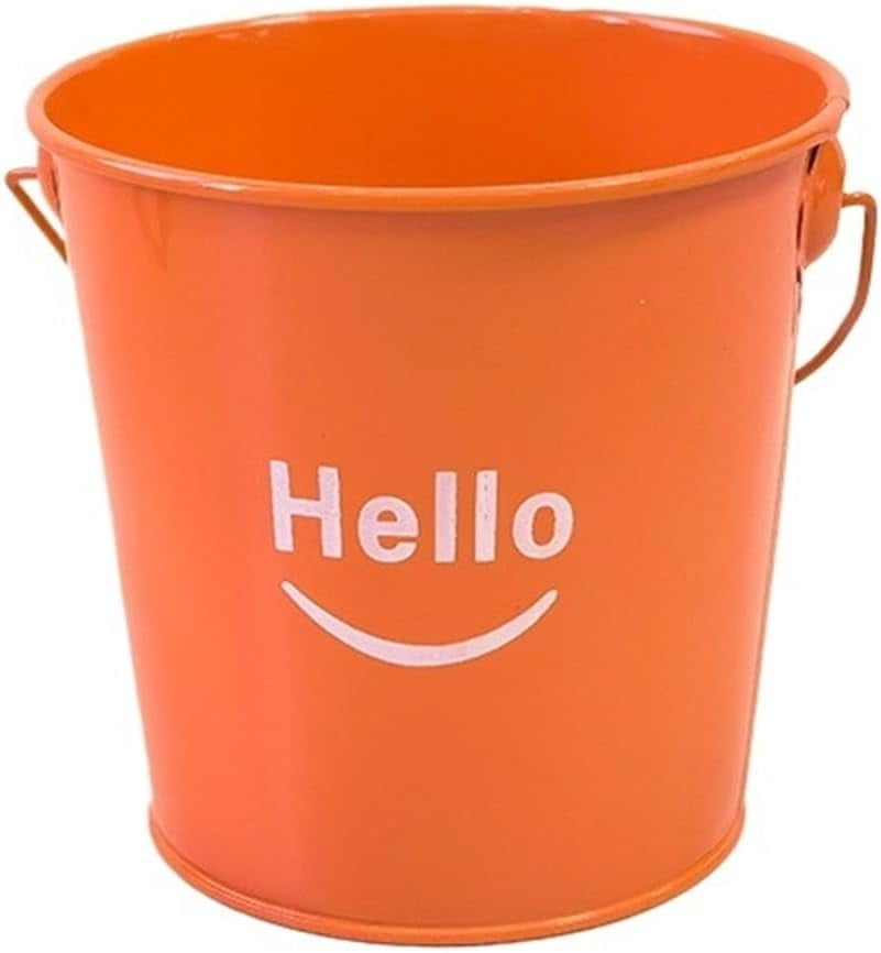 Colorful Small Metal Bucket - Decorative Storage Bin for Desk, Home ...