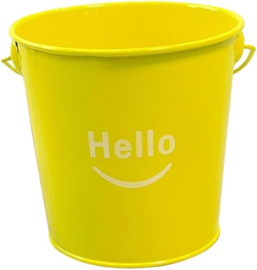 Colorful Small Metal Bucket - Decorative Storage Bin for Desk, Home ...