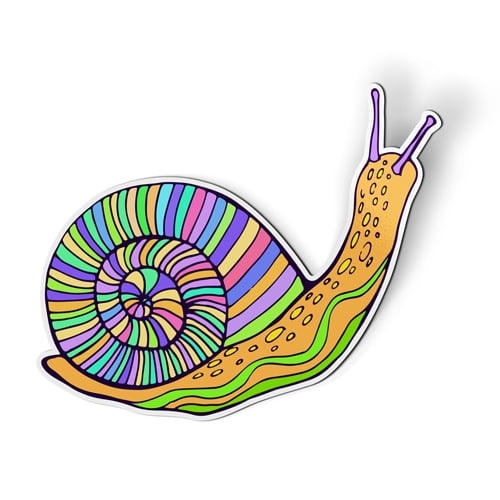 Colorful Snail - 5.5" Magnet for Car Locker Refrigerator - Walmart.com
