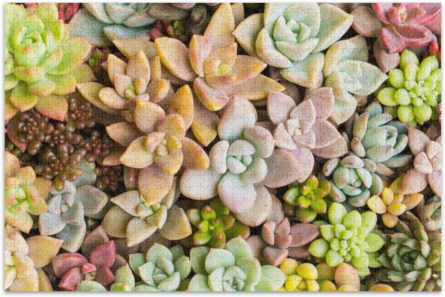 Colorful Succulent Plants Jigsaw Puzzle 500 Pieces, Intellectual ...