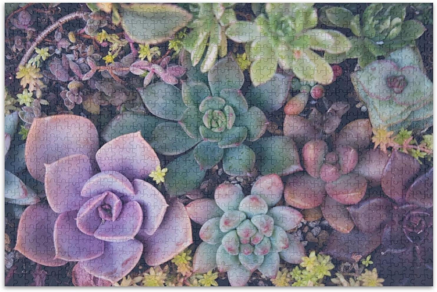 Colorful Succulent Plants Jigsaw Puzzle 500 Pieces Wooden Jigsaw ...