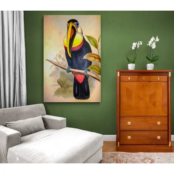 Colorful Toucan Wall Art Home Decor Vintage Gift Living Room Dercor ...