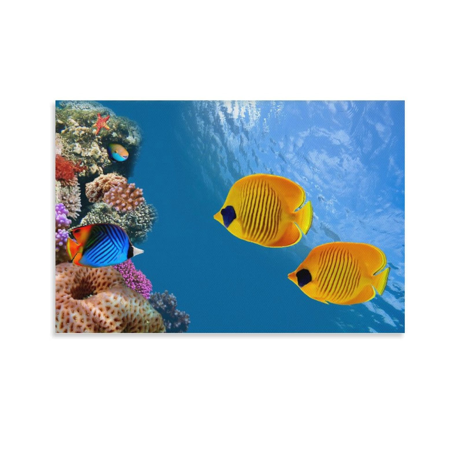 Colorful Underwater World Decorative Paintings Fishes Sea Coral Canvas ...