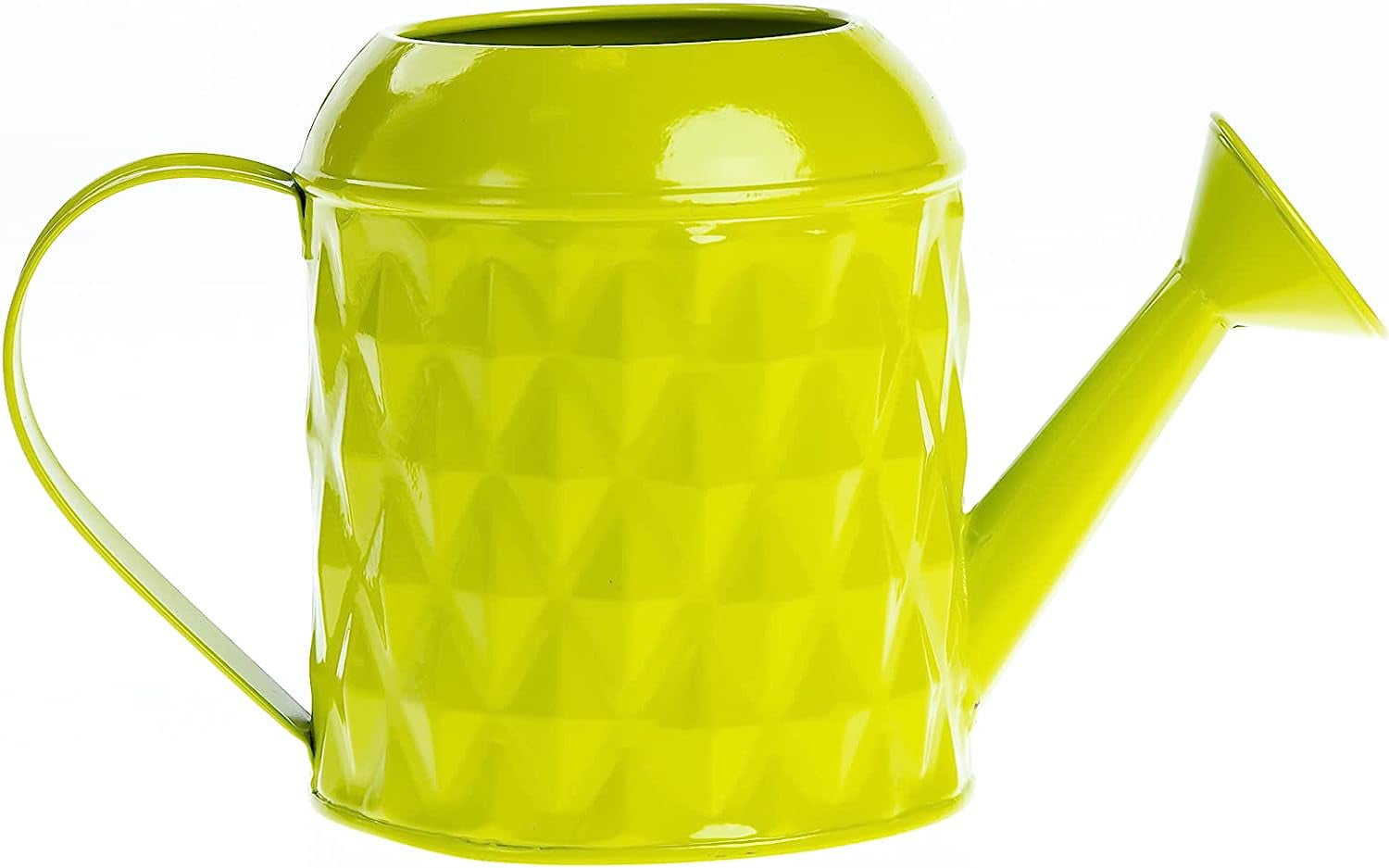 Colorful Watering Can Vase with Plastic Liner for Indoor Plants l ...