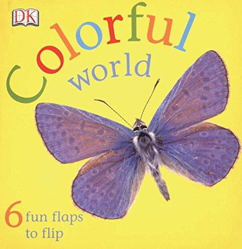 Colorful World (Board Book) - Walmart.com