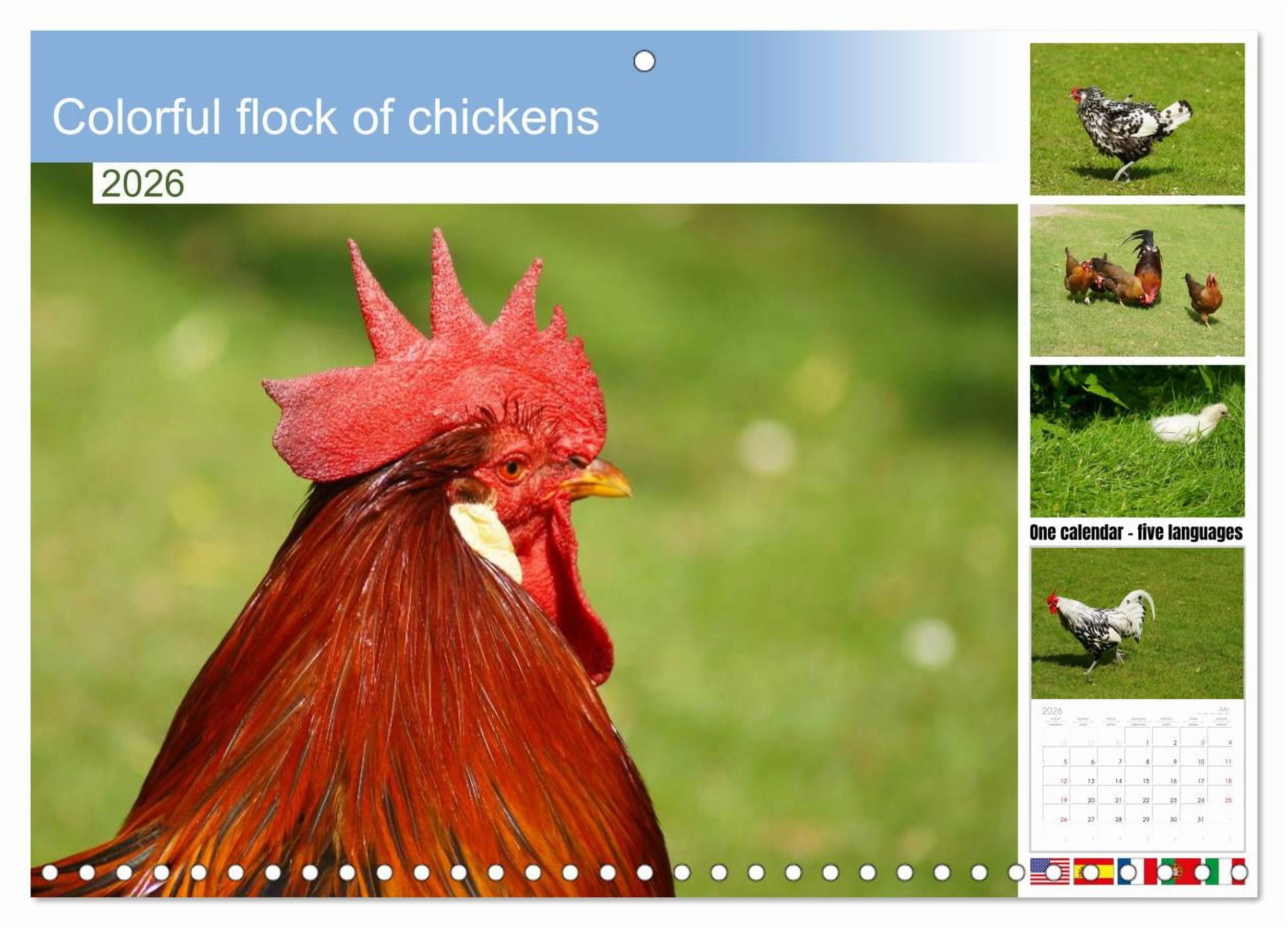 Colorful flock of chickens (Monthly Wall Calendar 2026 11.7 x 16.5 ...