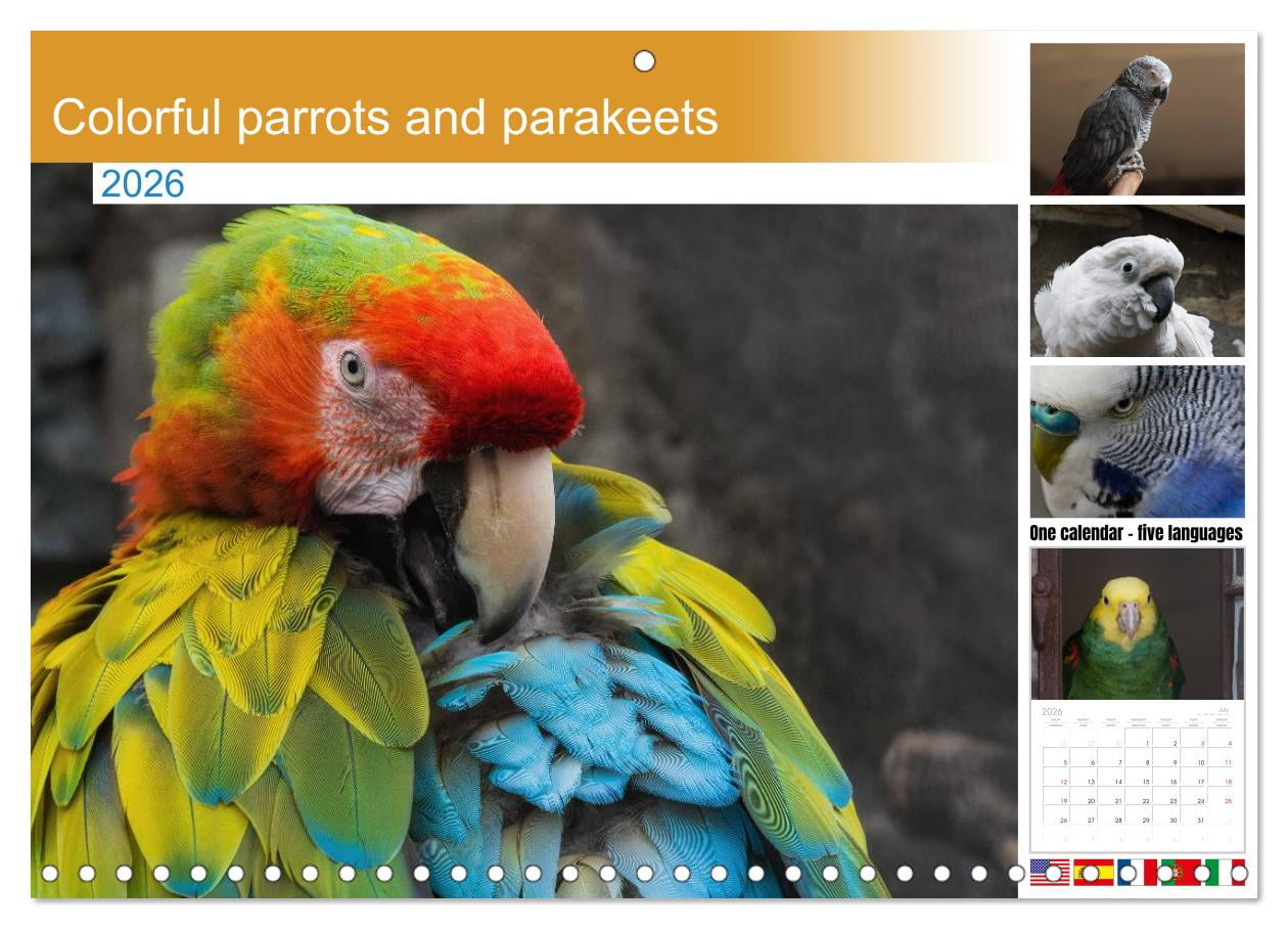 Colorful parrots and parakeets (Monthly Wall Calendar 2026 16.5 x 23.4 ...
