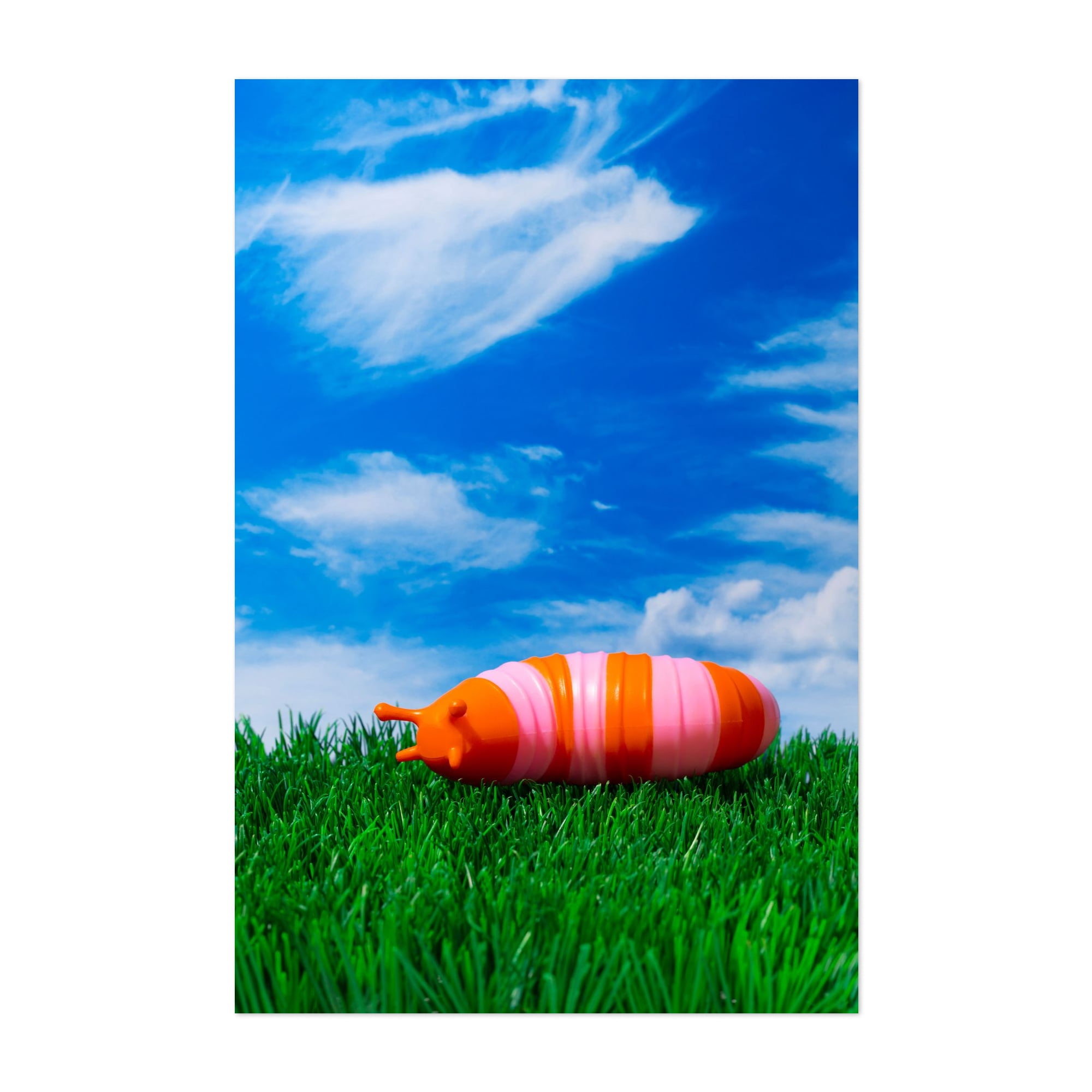 Colorful slug on grass - Photography Surrealism Nature Whimsical Insect ...