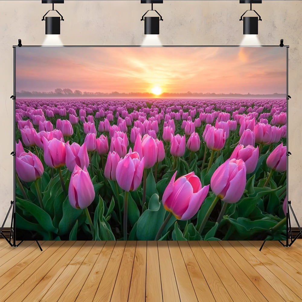 Colorful tulip flower field photography background, spring event,39 ...