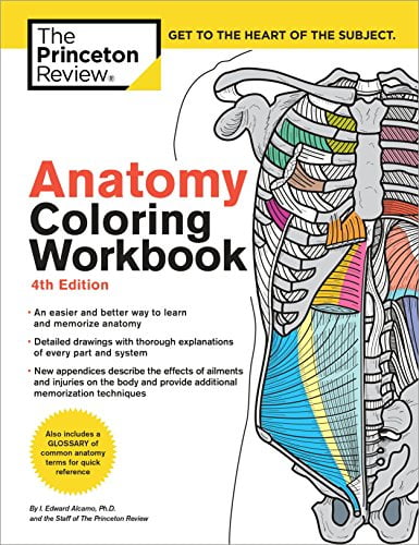 Pre-Owned Anatomy Coloring Workbook (Coloring Workbooks): An Easier and ...