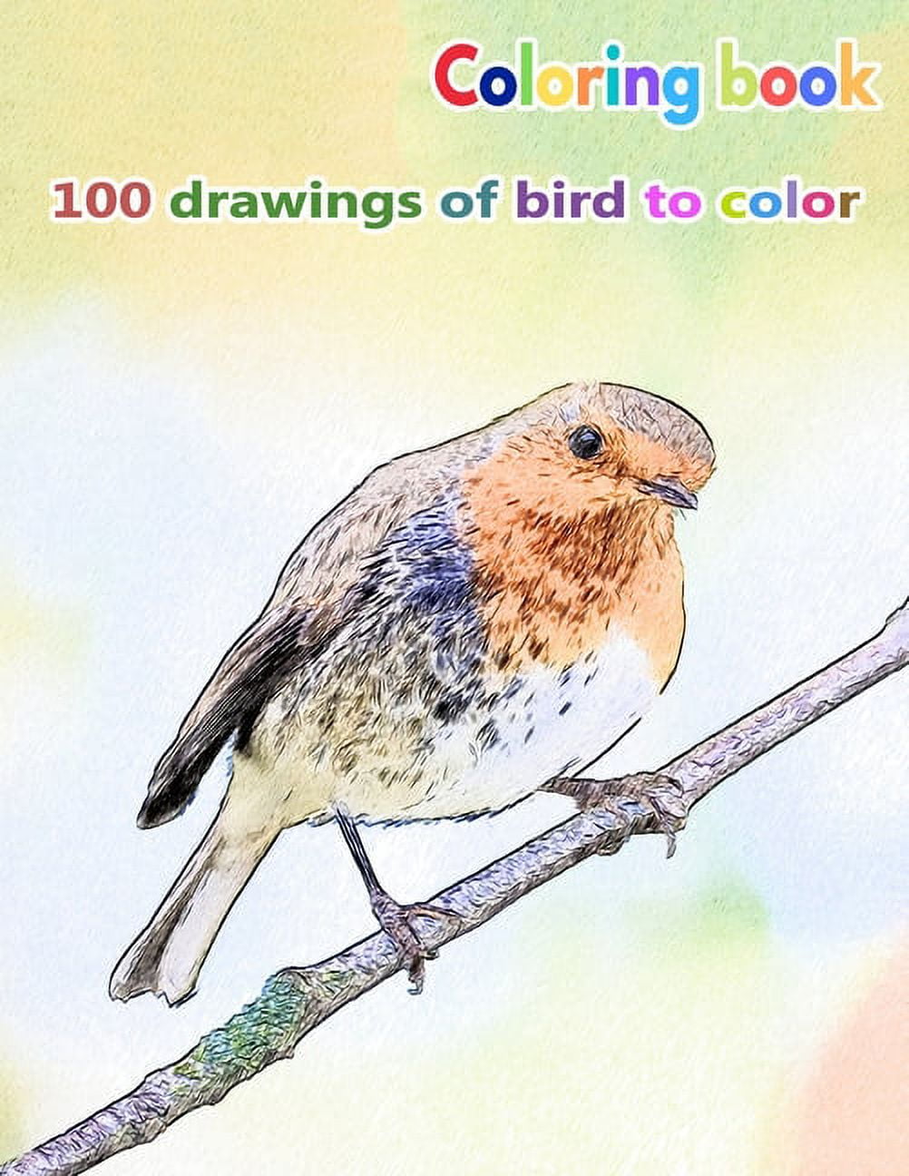 Bird Drawings In Color