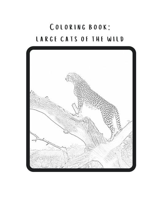 Coloring book: Large cats of the wild: Real pictures of wild animals ...