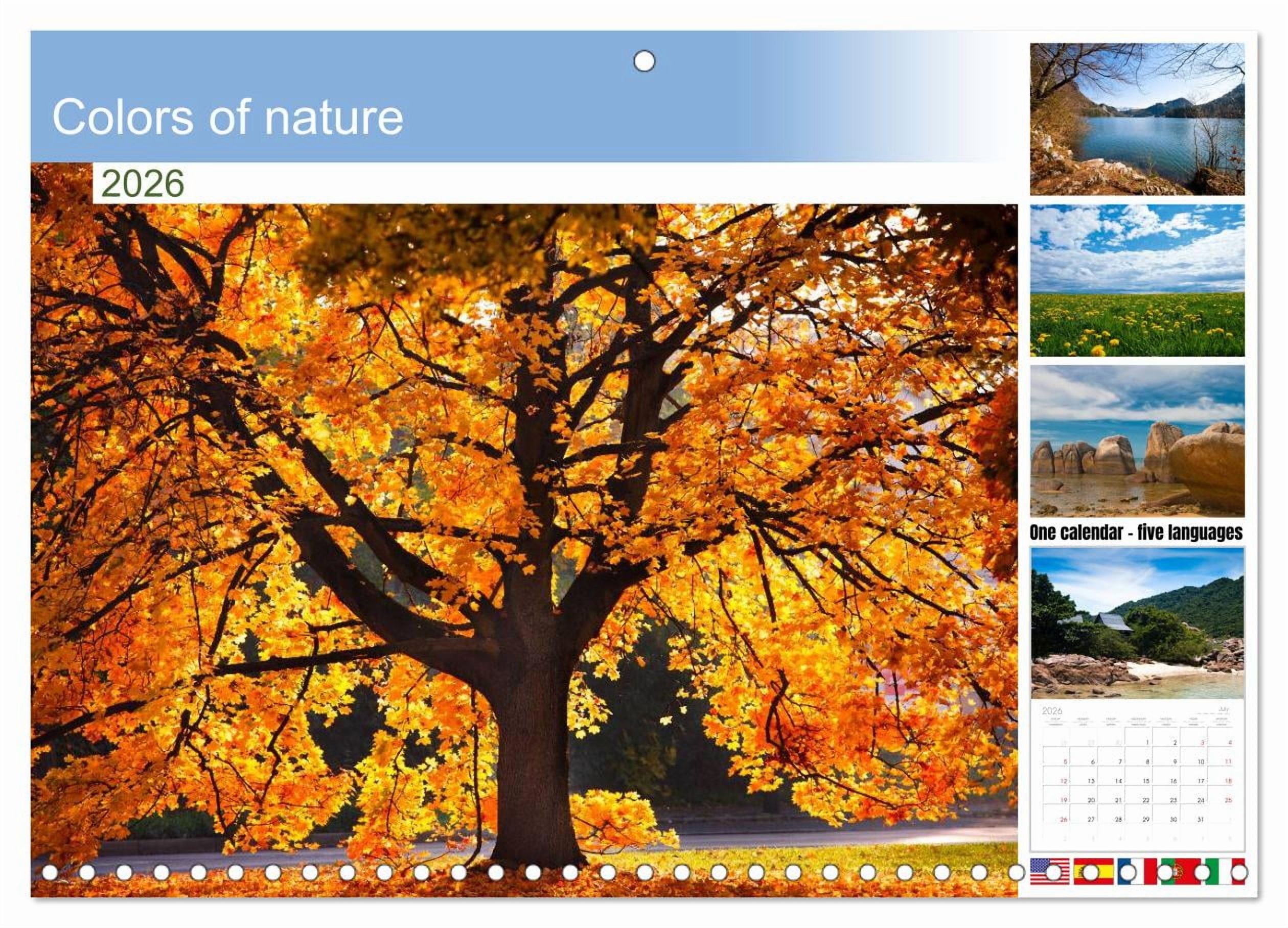 Colors of nature (Monthly Wall Calendar 2026 11.7 x 16.5 (open ...