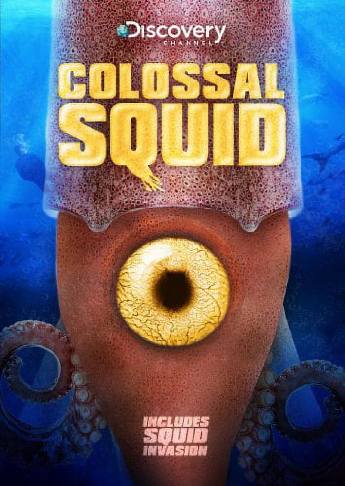 Colossal Squid (Widescreen) - Walmart.com