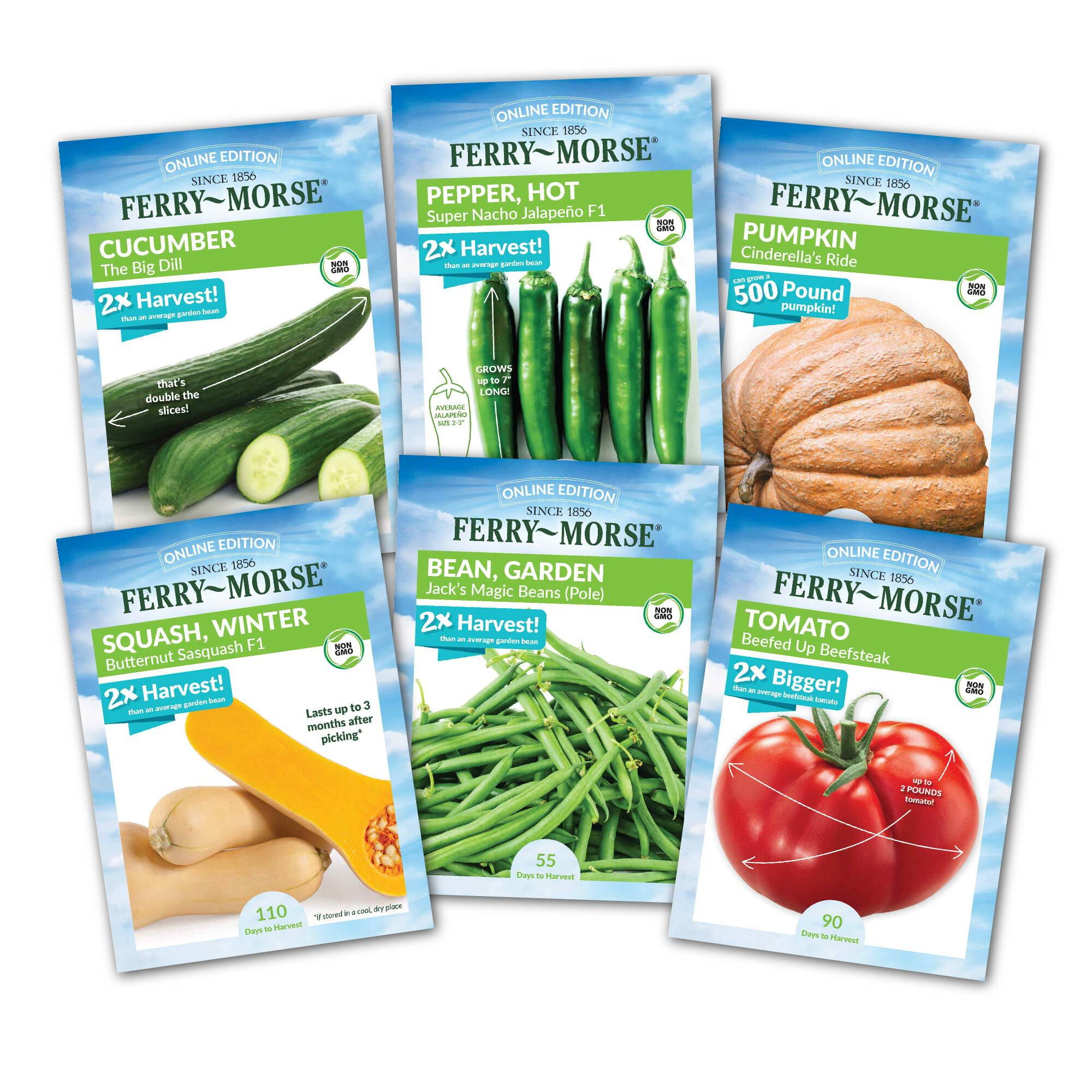 Ferry-Morse Colossal Vegetable Non-GMO Seed Variety Pack - 6 Pack ...