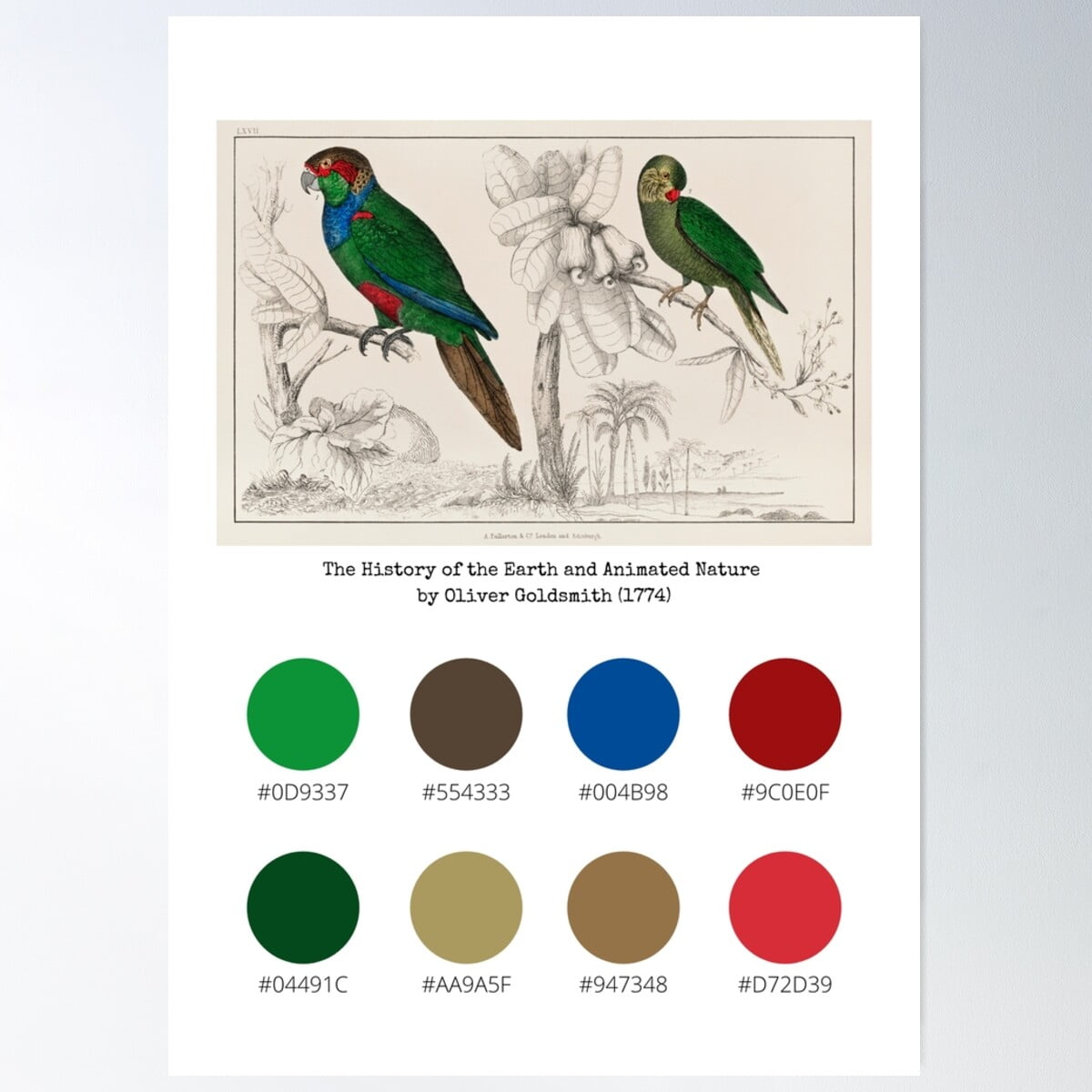 Colour Palette Of The History Of The Earth And Animated Nature By ...
