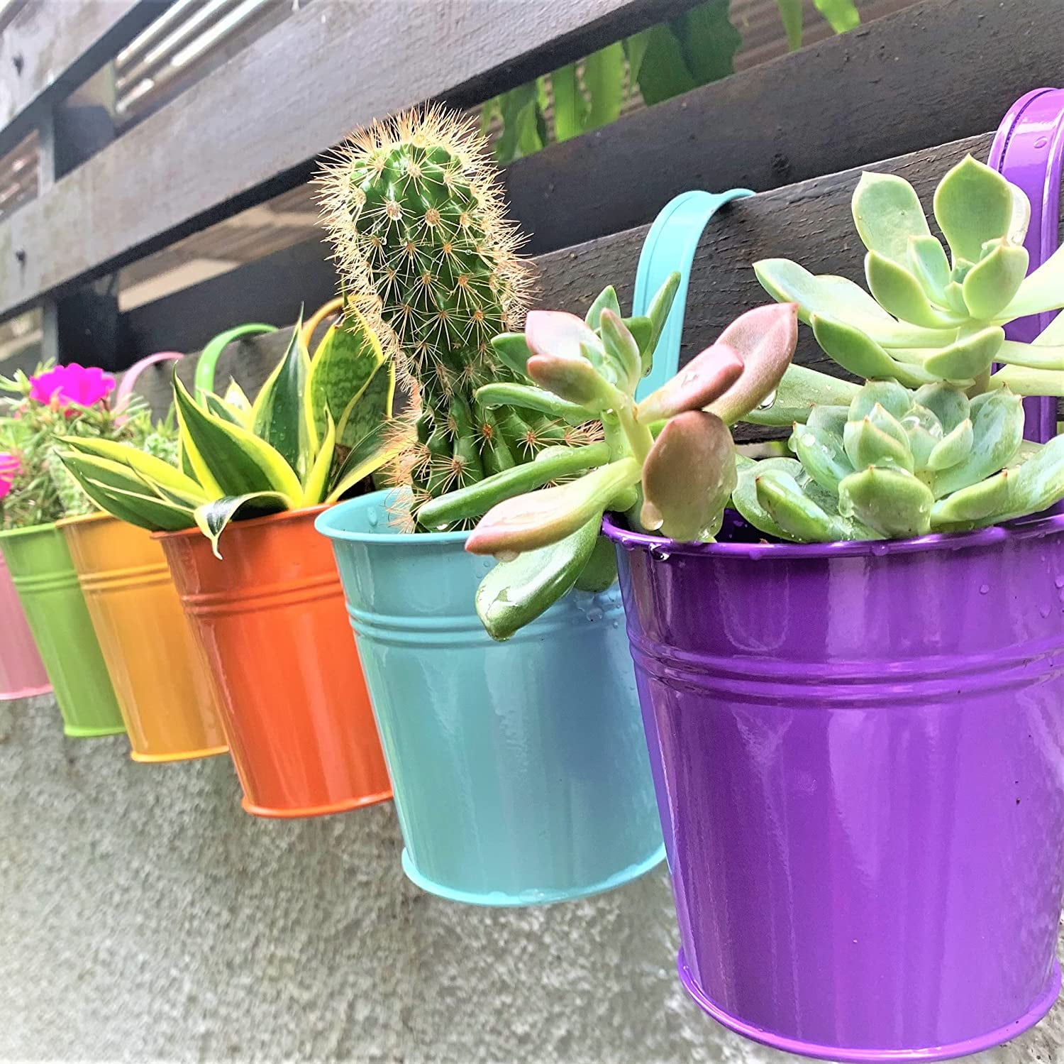 Colourful Hanging Plant Pots -Scheam 8 Pack 4 Inch Small Metal Buckets ...