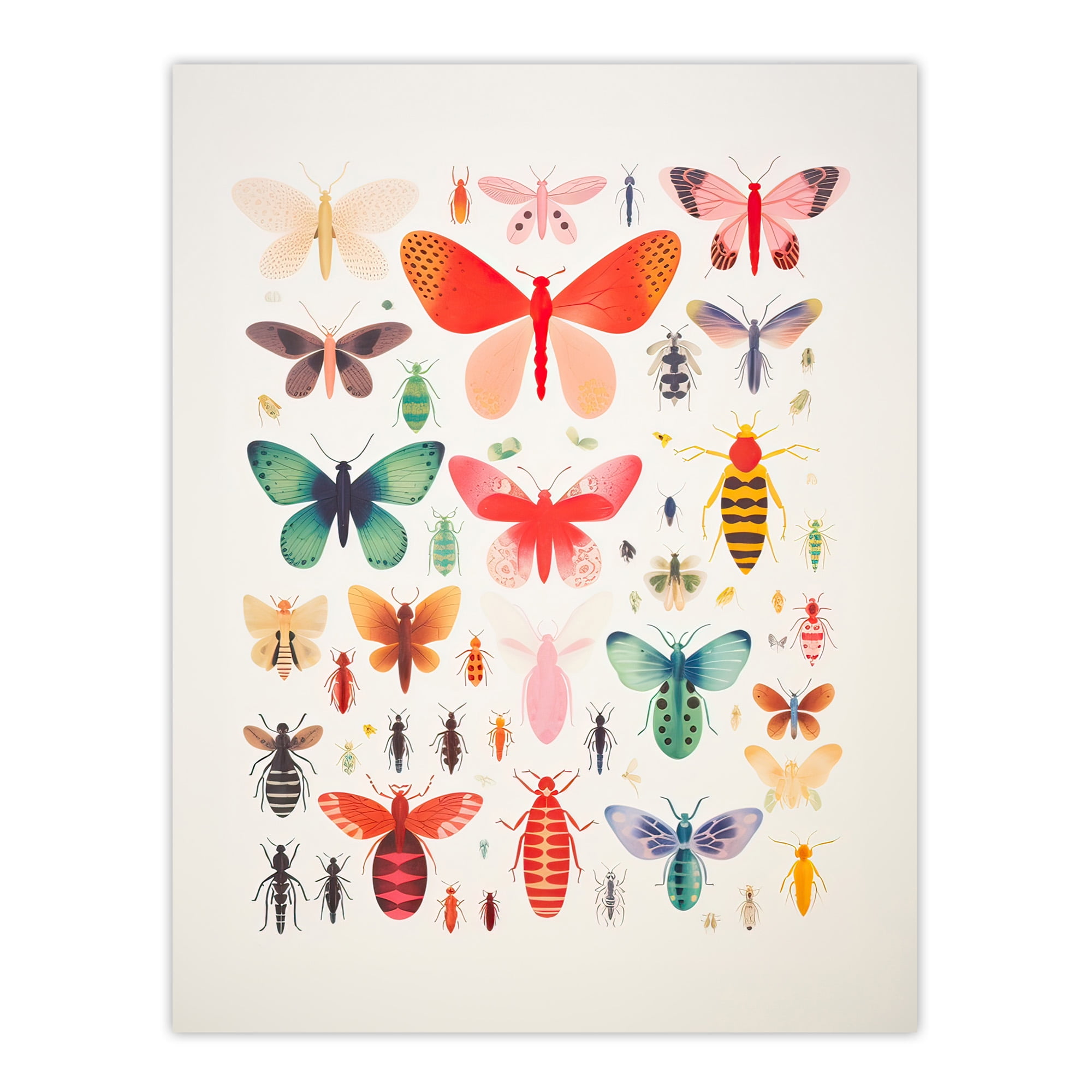 Colourful Insects and Bugs Bright Unframed Wall Art Print Poster Home ...