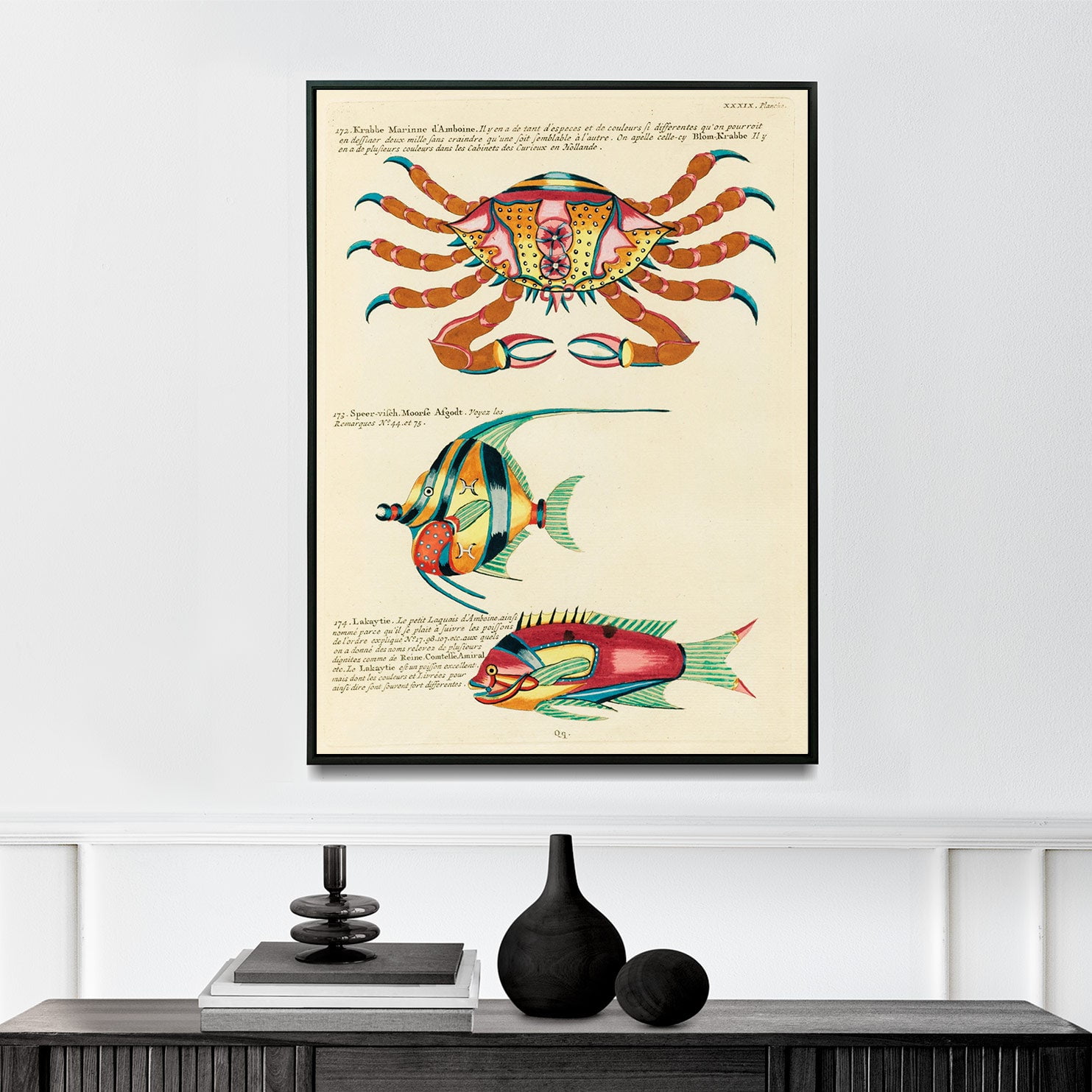 Colourful and Surreal Illustrations of Fishes and Crab Found in the ...