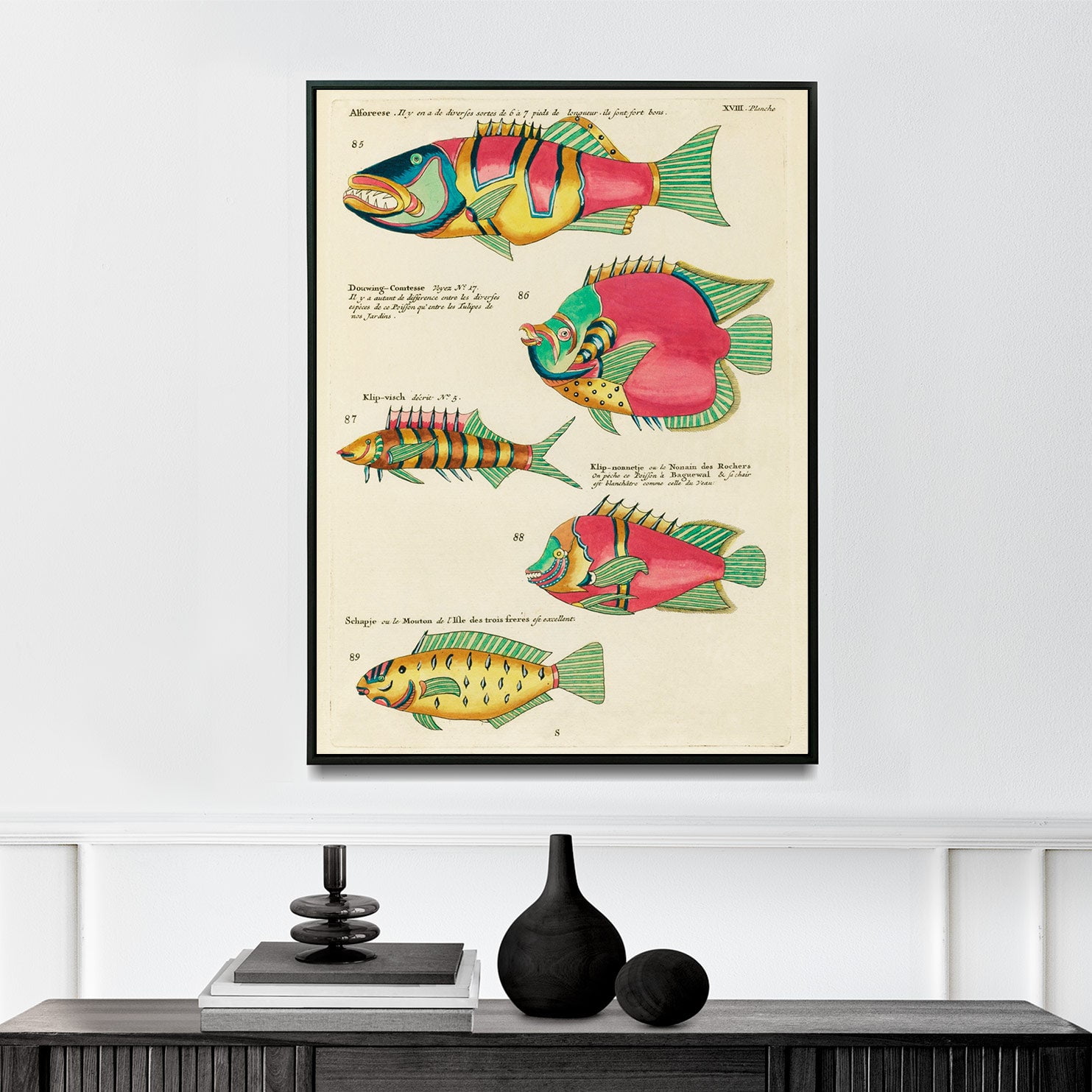 Colourful and Surreal Illustrations of Fishes Found in Moluccas ...