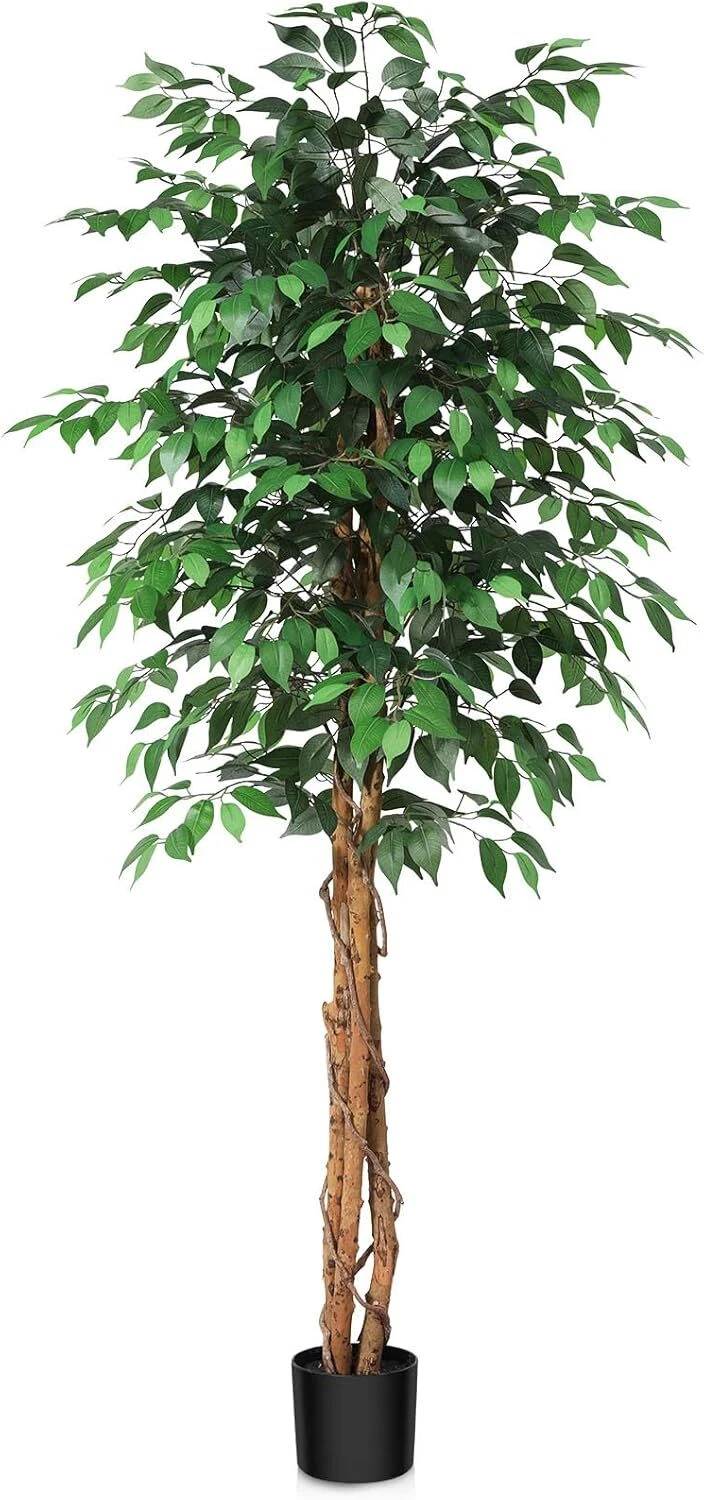 Colourtree 71 Inch Artificial Ficus Tree with Natural Wood Trunk, Silk ...