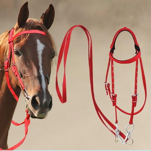 Colourtree Rein for Horse - Adjustable Riding Bridle | Headstall Reins ...