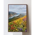 Columbia River Gorge Dog Mountain Washington Wildflower Pacific ...