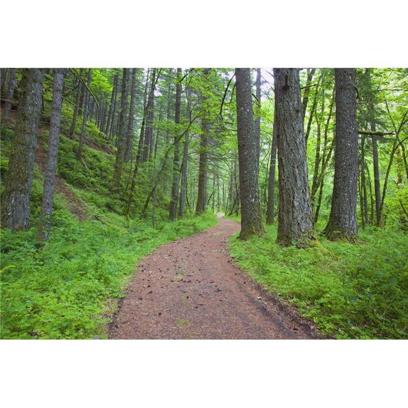 Columbia River Gorge National Scenic Area Oregon United States Of ...