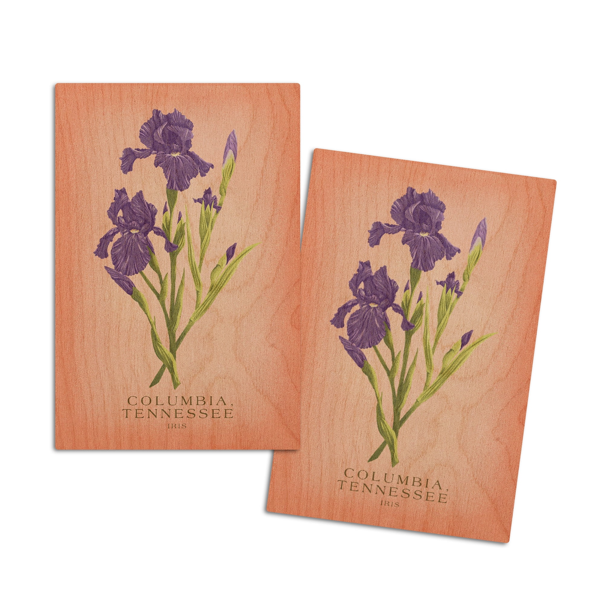 Columbia, Tennessee, Vintage Flora, State Series, Iris (4x6 Birch Wood ...