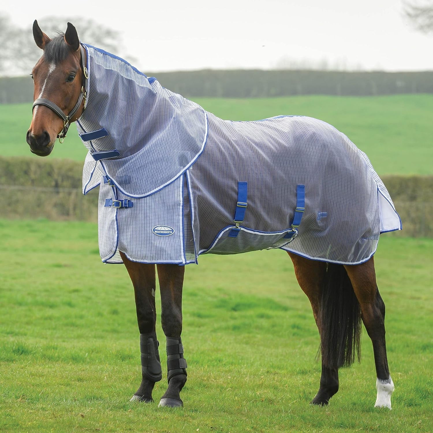 ComFITec RipShield Plus Detach-A-Neck Fly Sheet Size: 81 in Color ...