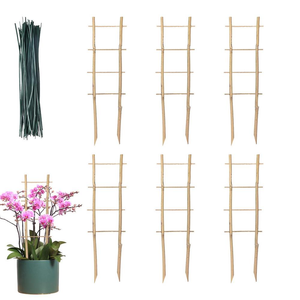 Comaie Bamboo Trellis for Climbing Plants 6 Pcs Garden Trellis for ...