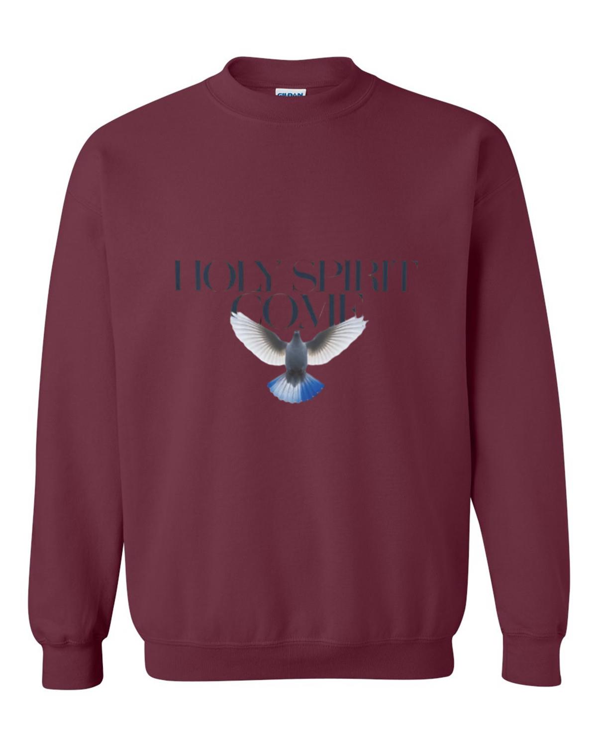 Come Holy Spirit Faith Worship Christian Religion Gift Sweatshirt, for ...