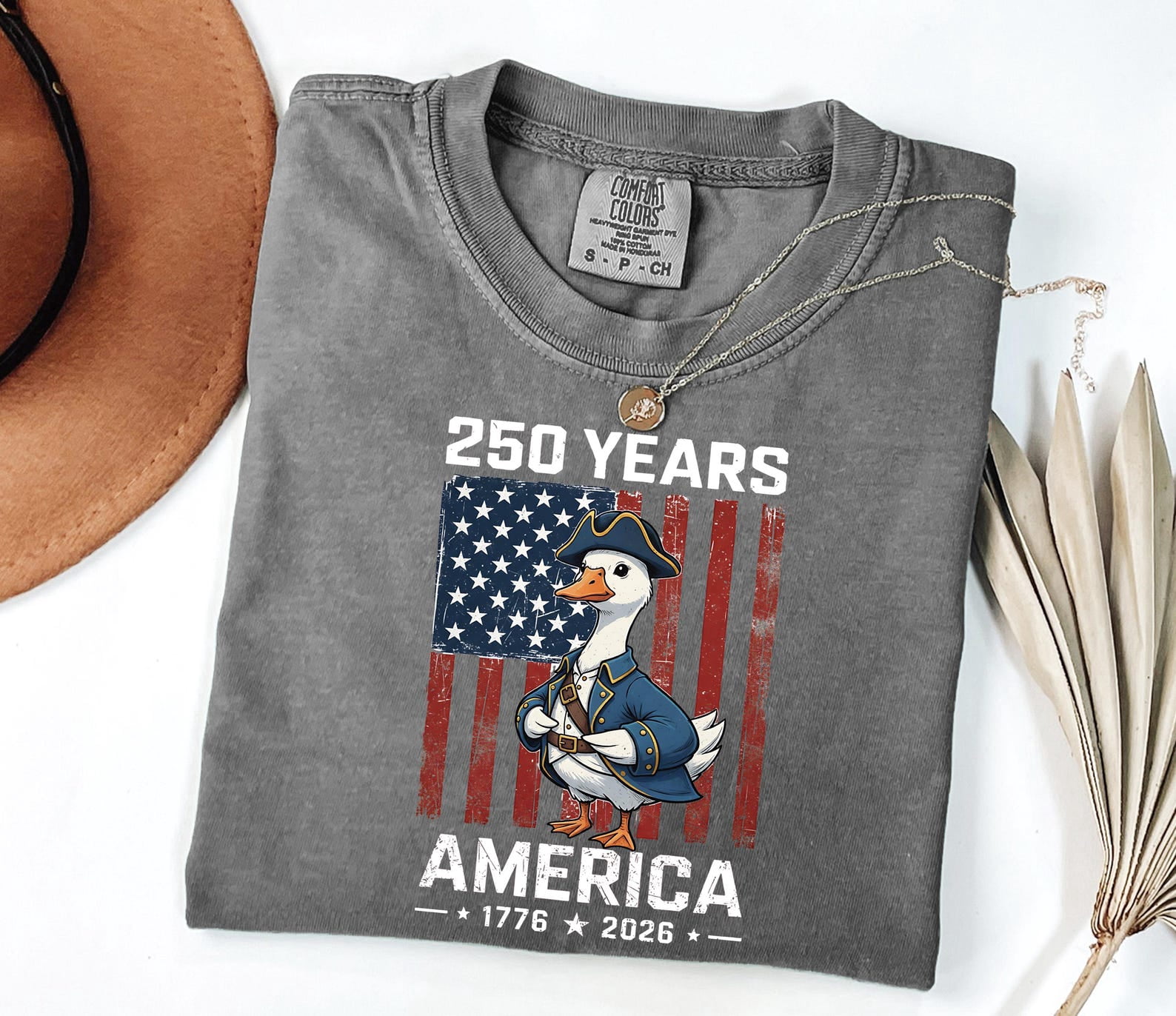 Comfort Colors America 250 Years Shirt, Patriotic Tee, Silly Goose ...